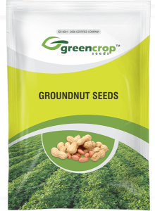 Groundnut - Green Crop Seeds