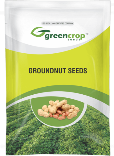 Groundnut - Green Crop Seeds